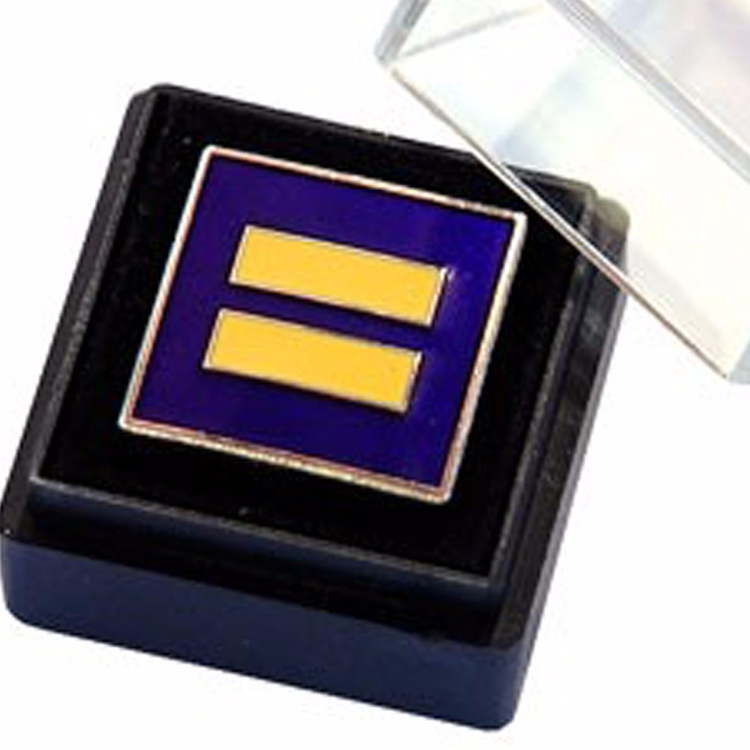 LGBTQ+ Pride Enamel Lapel Pins | HRC